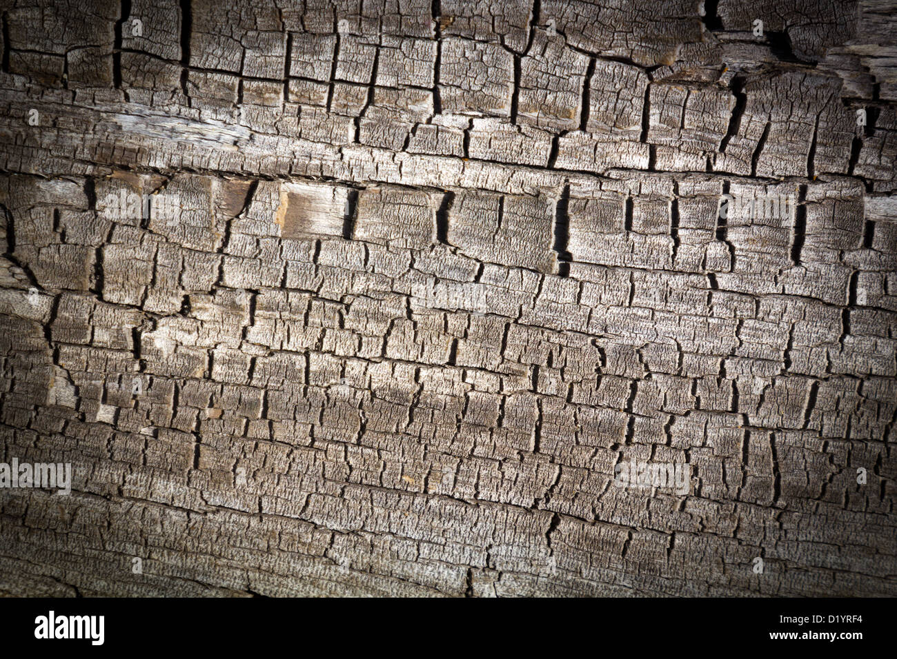 Old Cracked Wood Texture Background Stock Photo - Alamy