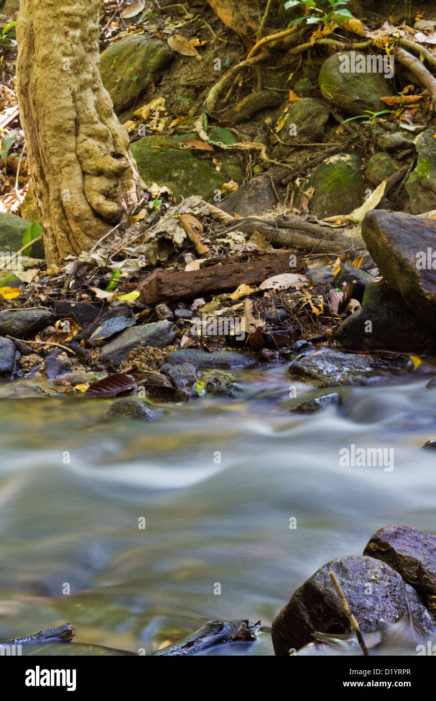 Natural Stream in the Area of Waterfall Stock Photo - Alamy