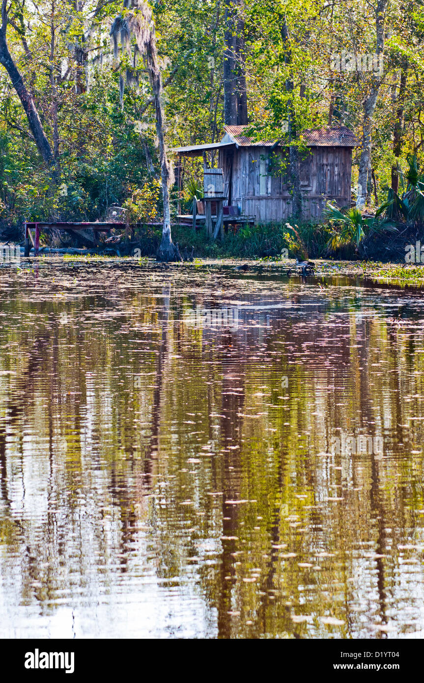 Gator hut hi-res stock photography and images - Alamy