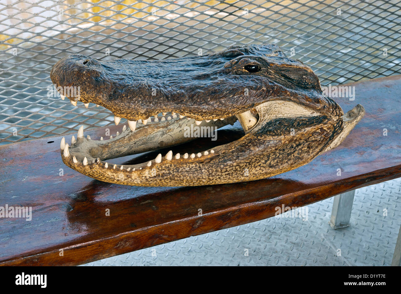 Historical alligator boat hi-res stock photography and images - Alamy