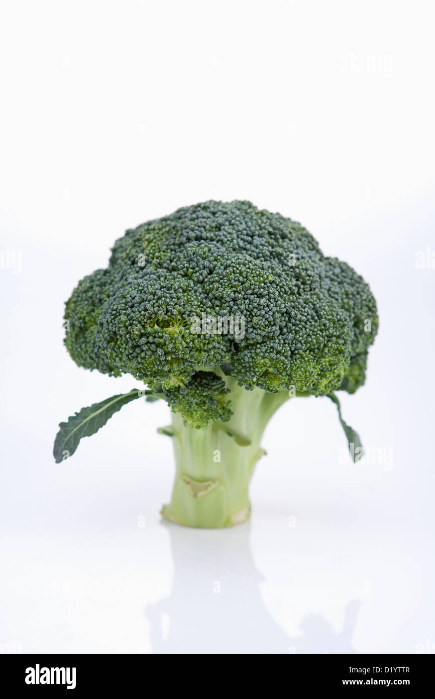 a bunch of broccoli Stock Photo - Alamy