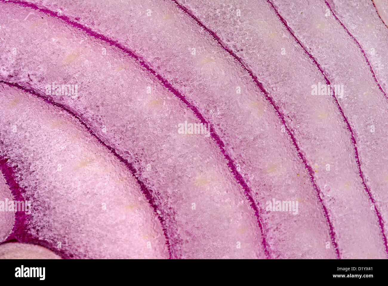 Culinary detail hi-res stock photography and images - Alamy