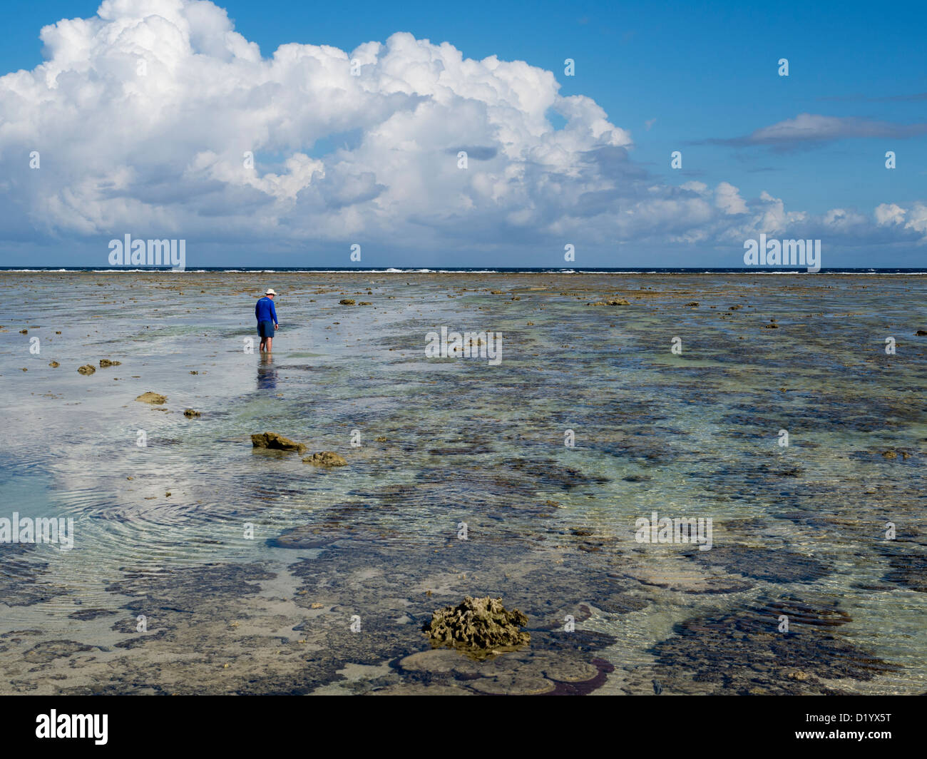 Lady elliot island hi-res stock photography and images - Alamy