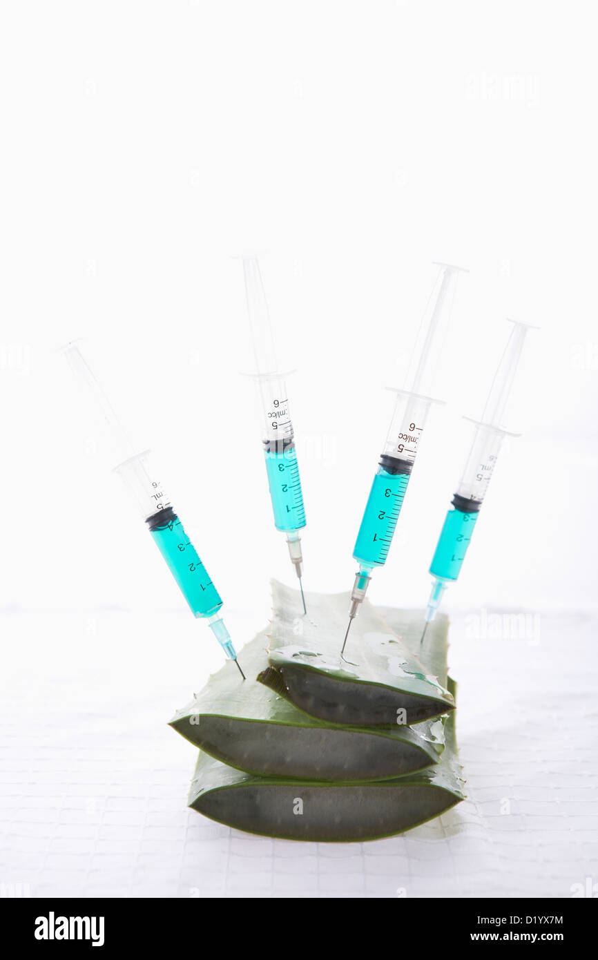 injection needles filled up with blue substance on flat bamboo plants ...