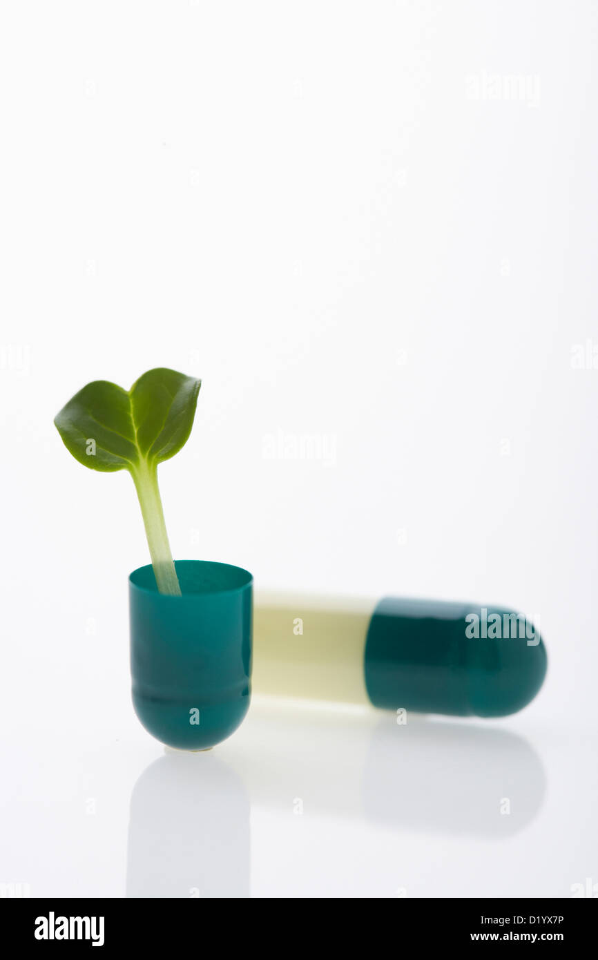 a sprout growing from an opened pill Stock Photo - Alamy