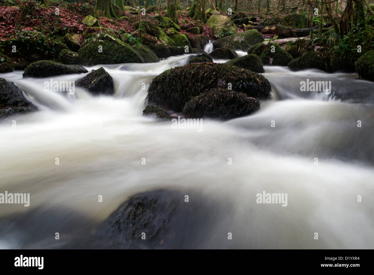 Kennal vale nature reserve cascading water stream Stock Photo - Alamy