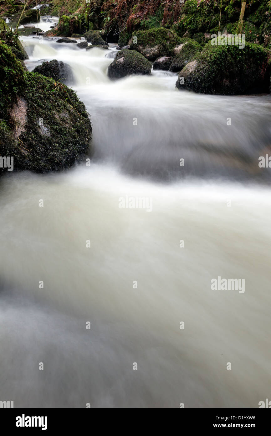Kennall vale nature reserve cascading water stream Stock Photo - Alamy