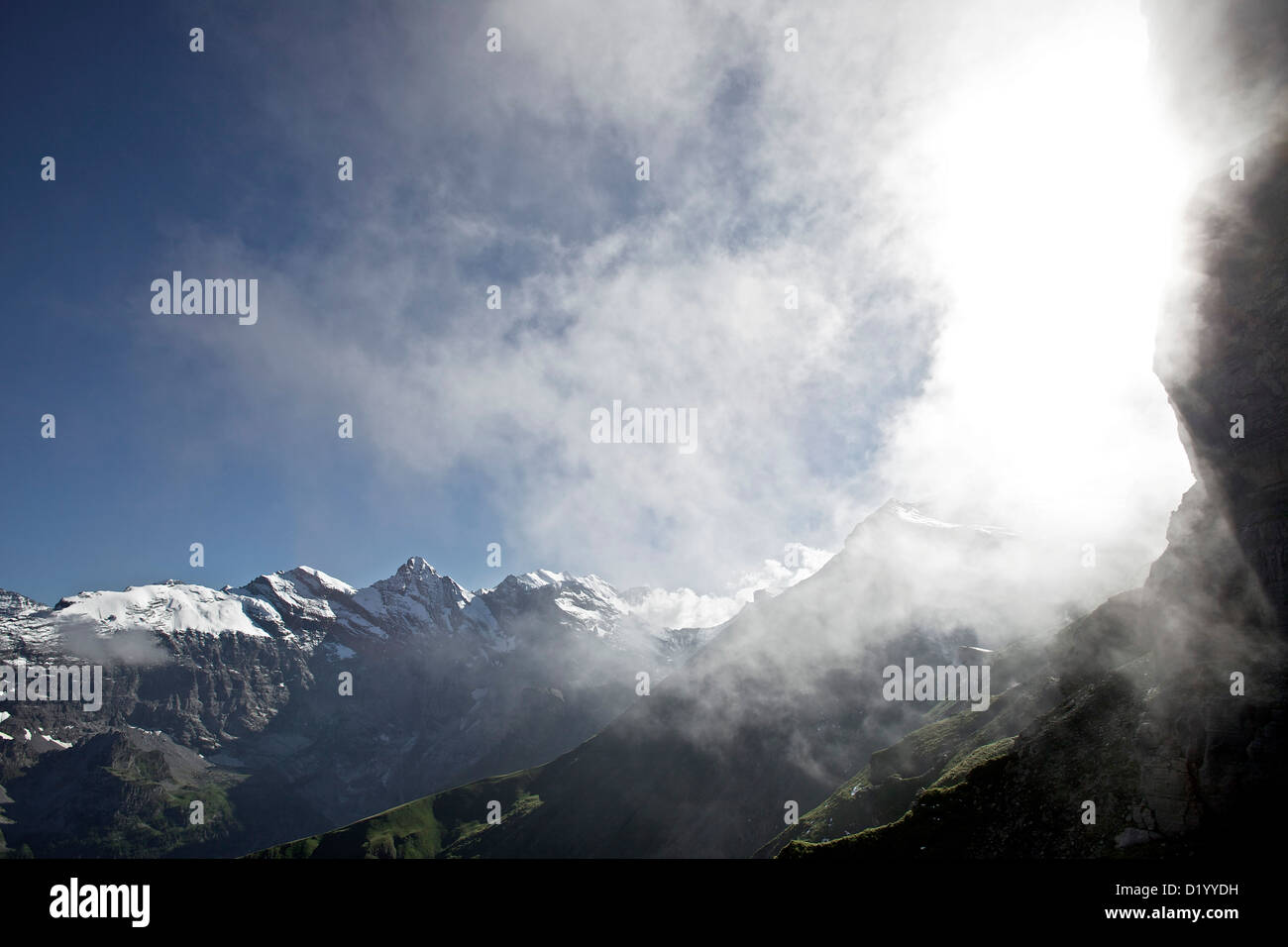 Schil view hi-res stock photography and images - Alamy