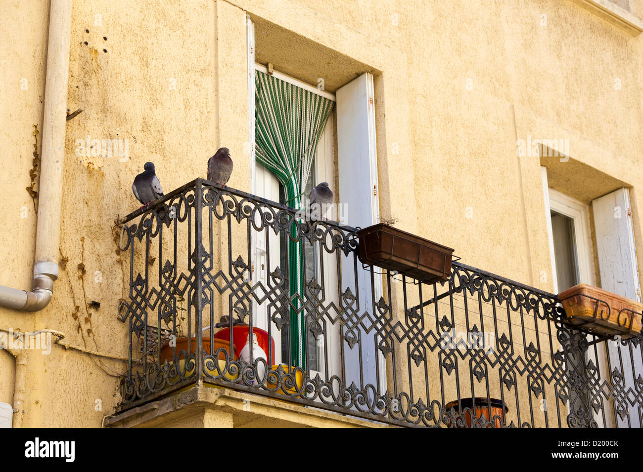 Pigeons sit on a balcony railing on a medieval house in Gruissan ...