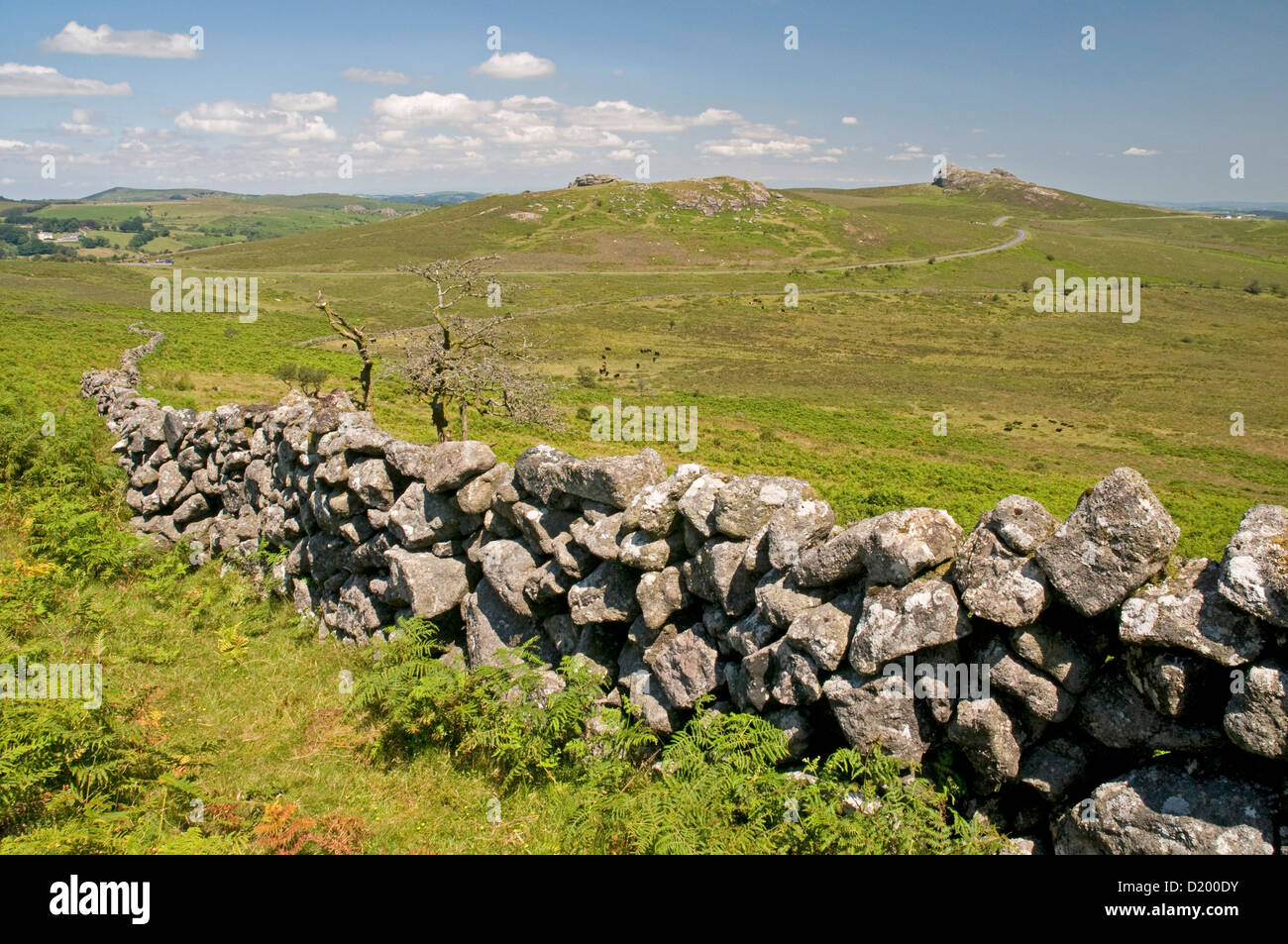The ever attractive Dartmoor landscape from the slopes of Rippon Tor ...