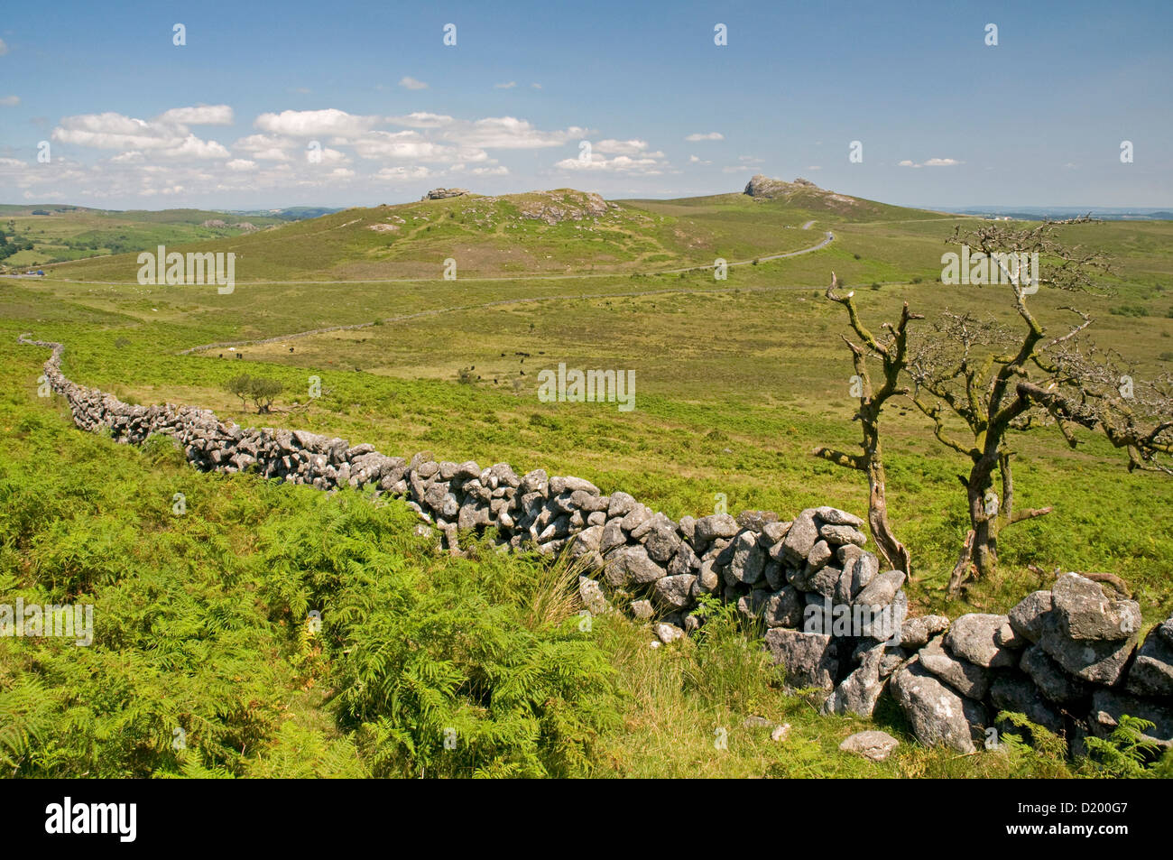 The ever attractive Dartmoor landscape from the slopes of Rippon Tor ...