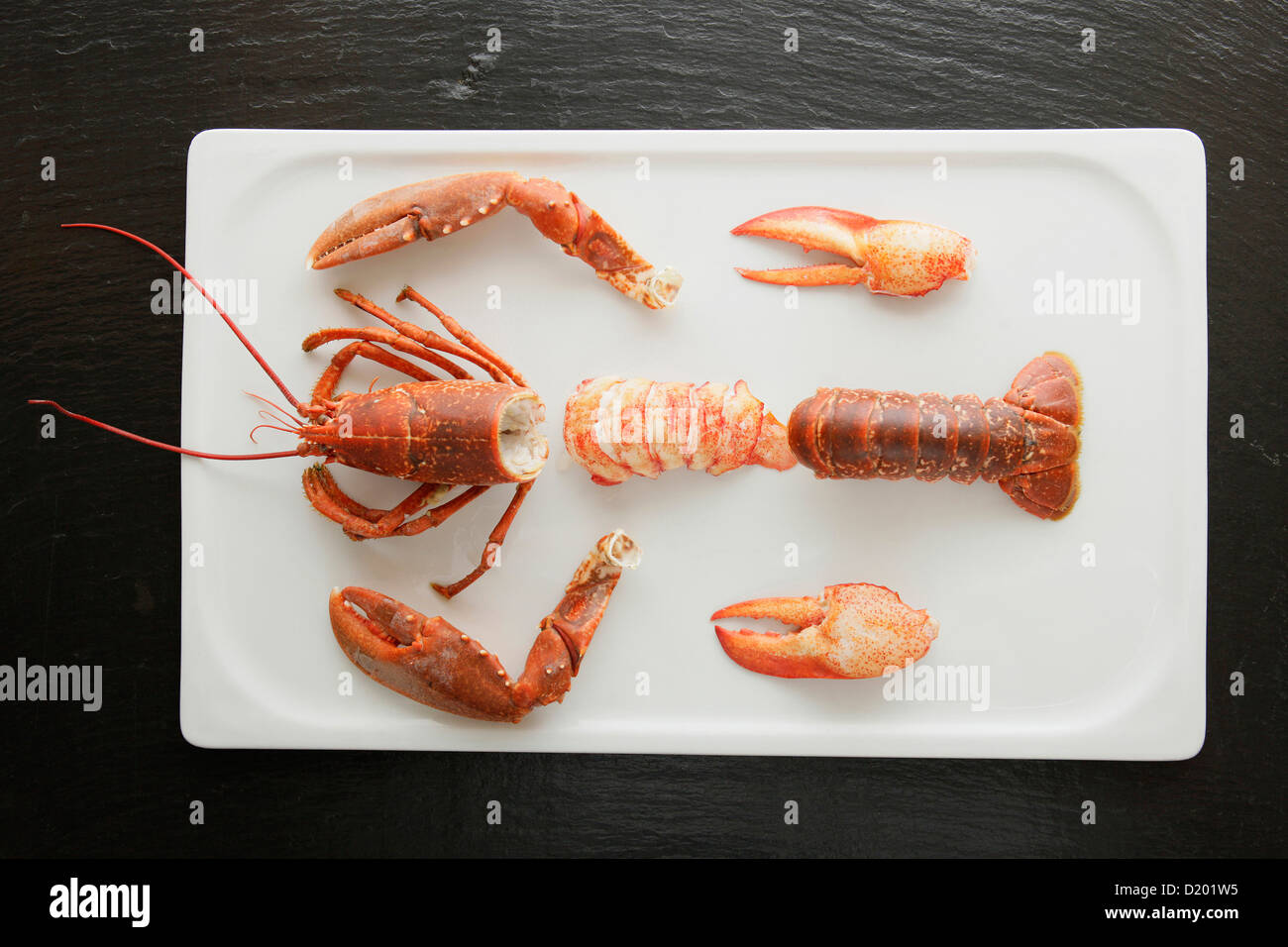 Seafood platter with lobster hi-res stock photography and images - Alamy