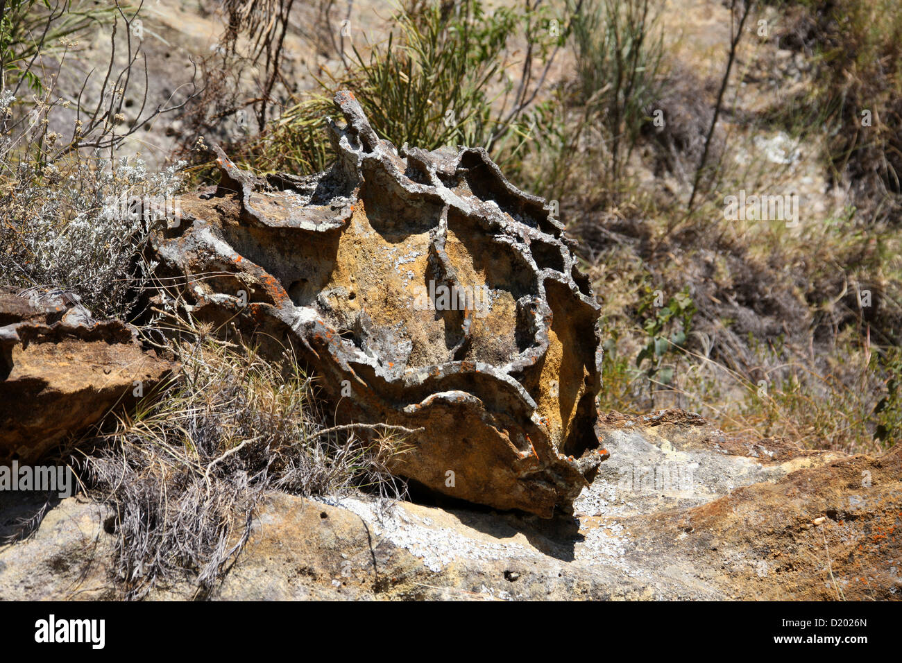 Wind Sculpted Rock Formation, Isalo National Park, Madagascar, Africa ...