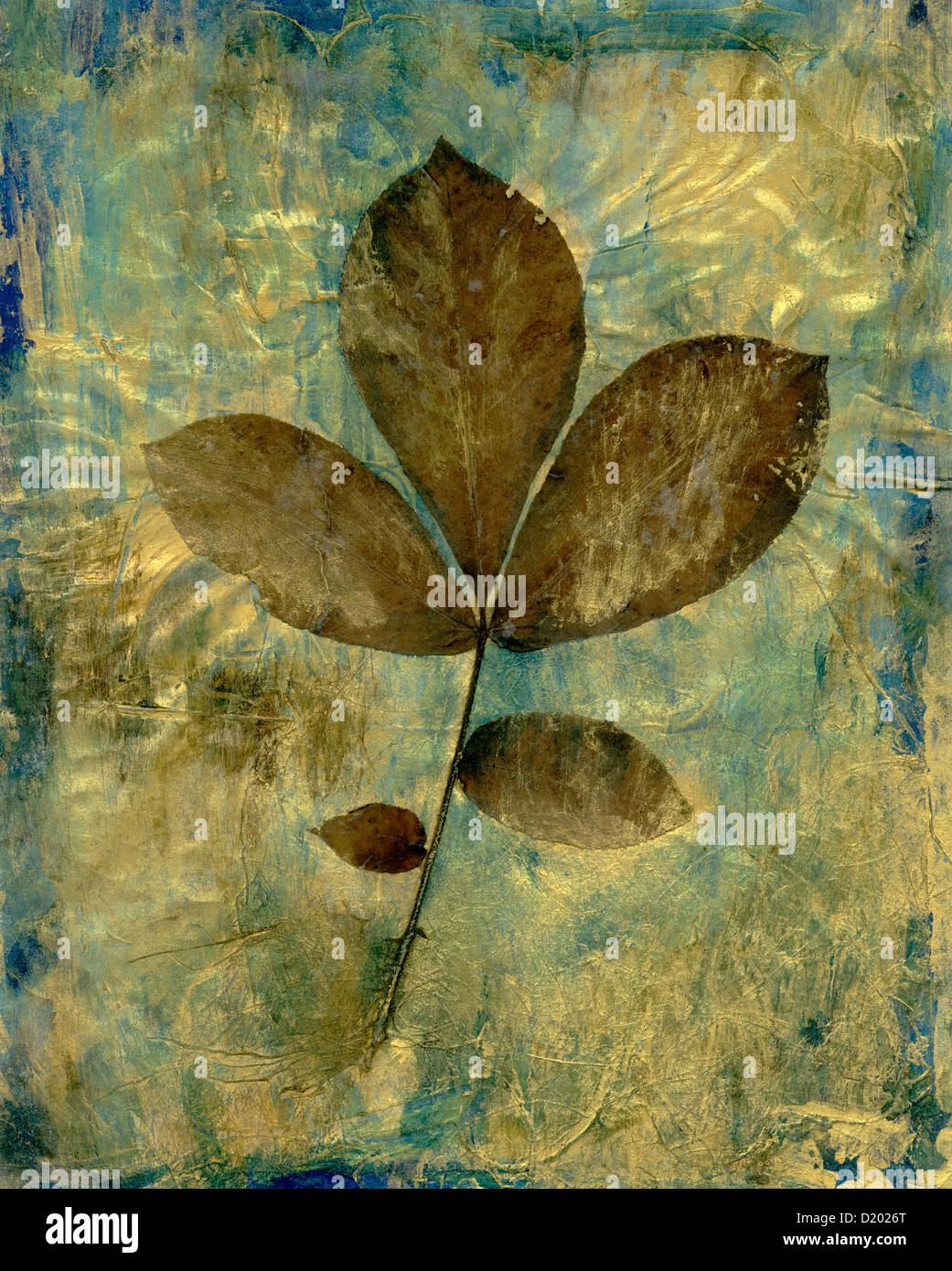 Leaf collage of a single stem with a group of leaves Stock Photo - Alamy