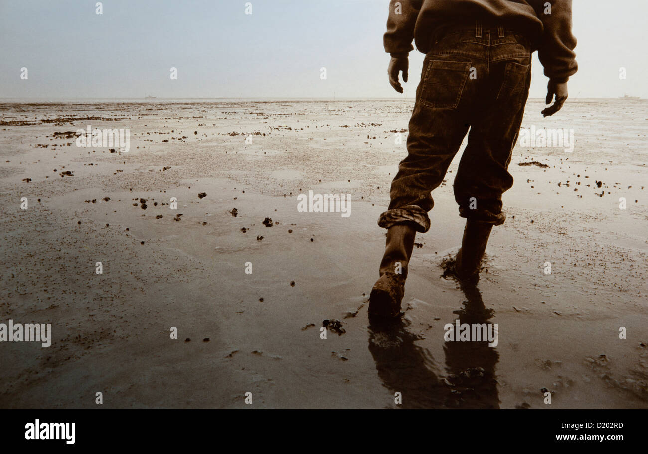 Mudflat tour hi-res stock photography and images - Alamy