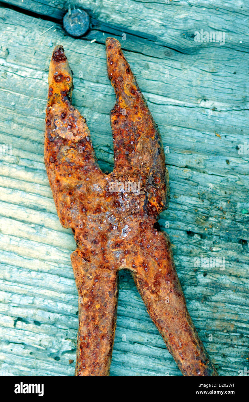 Antique Rust Pliers Stock Photo - Alamy