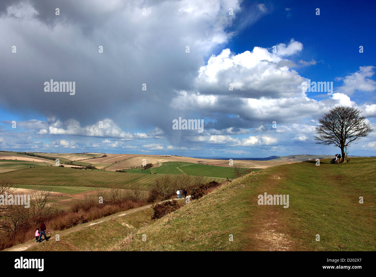 Adult walkers in the Landscape, Findon Downs near the village of Findon ...
