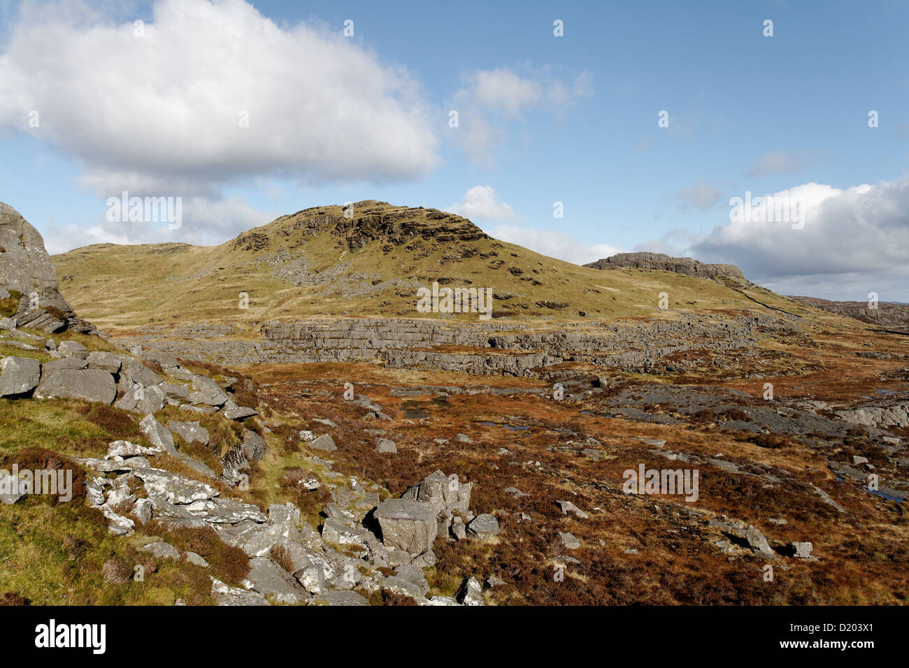 Rhinogs hi-res stock photography and images - Alamy