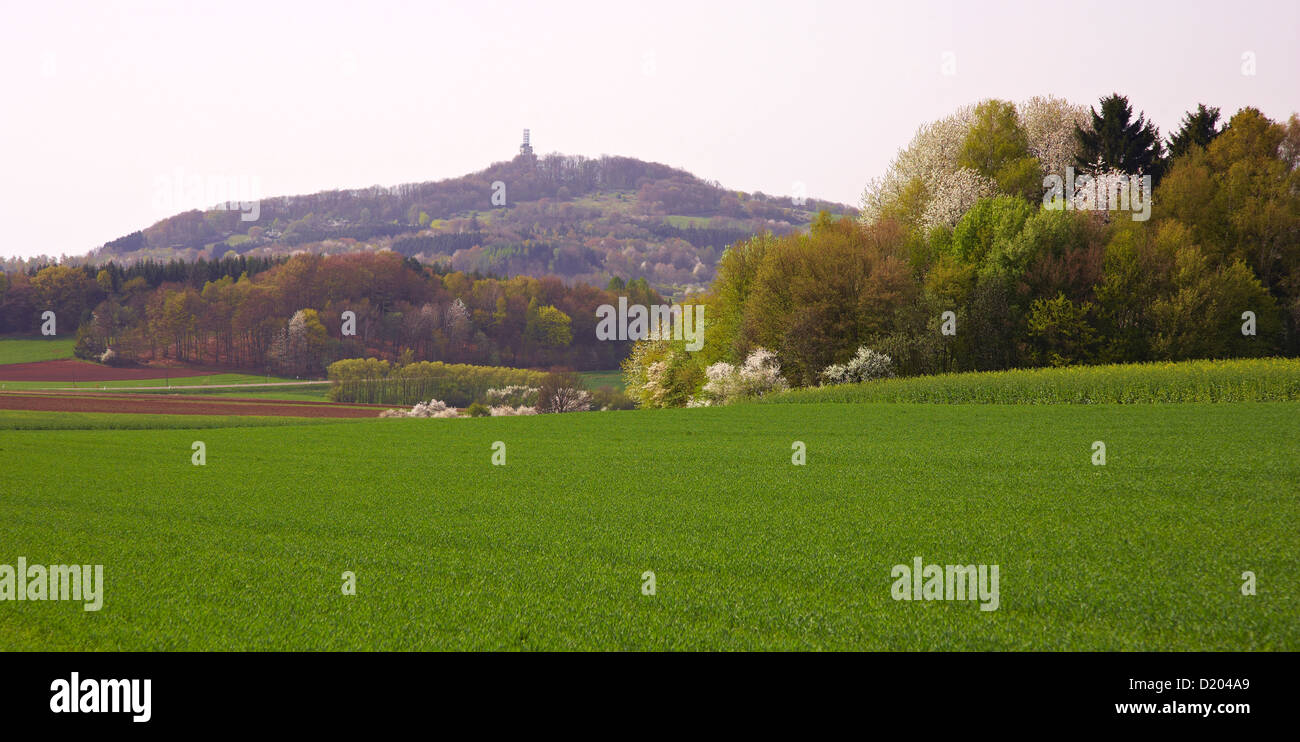 Schaumberg hi-res stock photography and images - Alamy