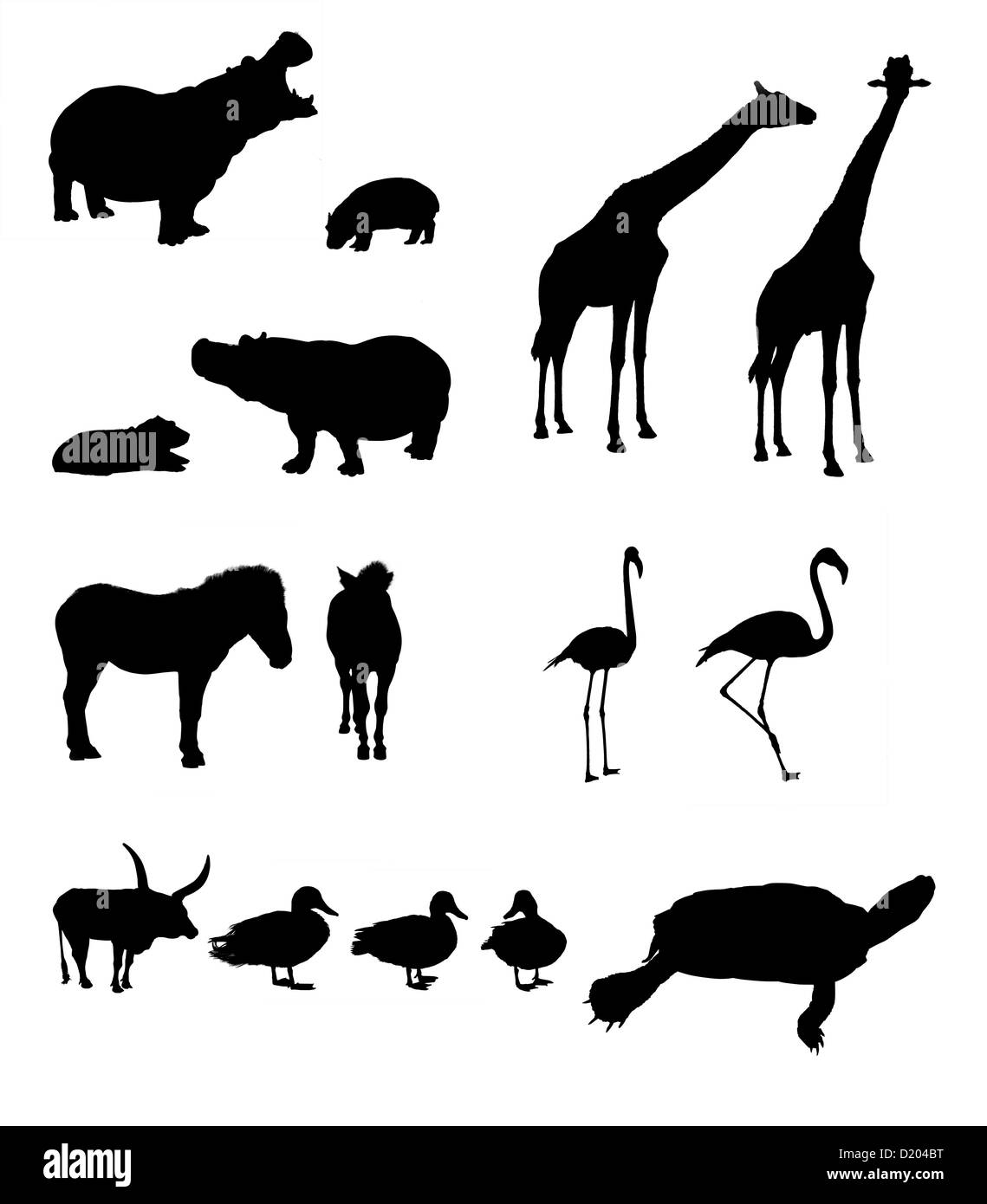 African wild animals silhouettes Cut Out Stock Images & Pictures - Alamy