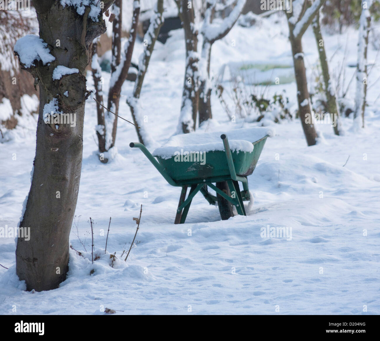 Wheelbarrow in allotment hi-res stock photography and images - Alamy