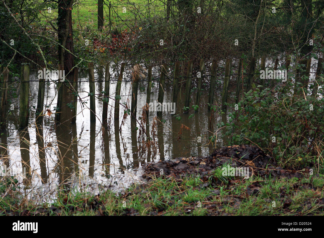 A Fence and trees partly submerged by flood water that had flowed down ...