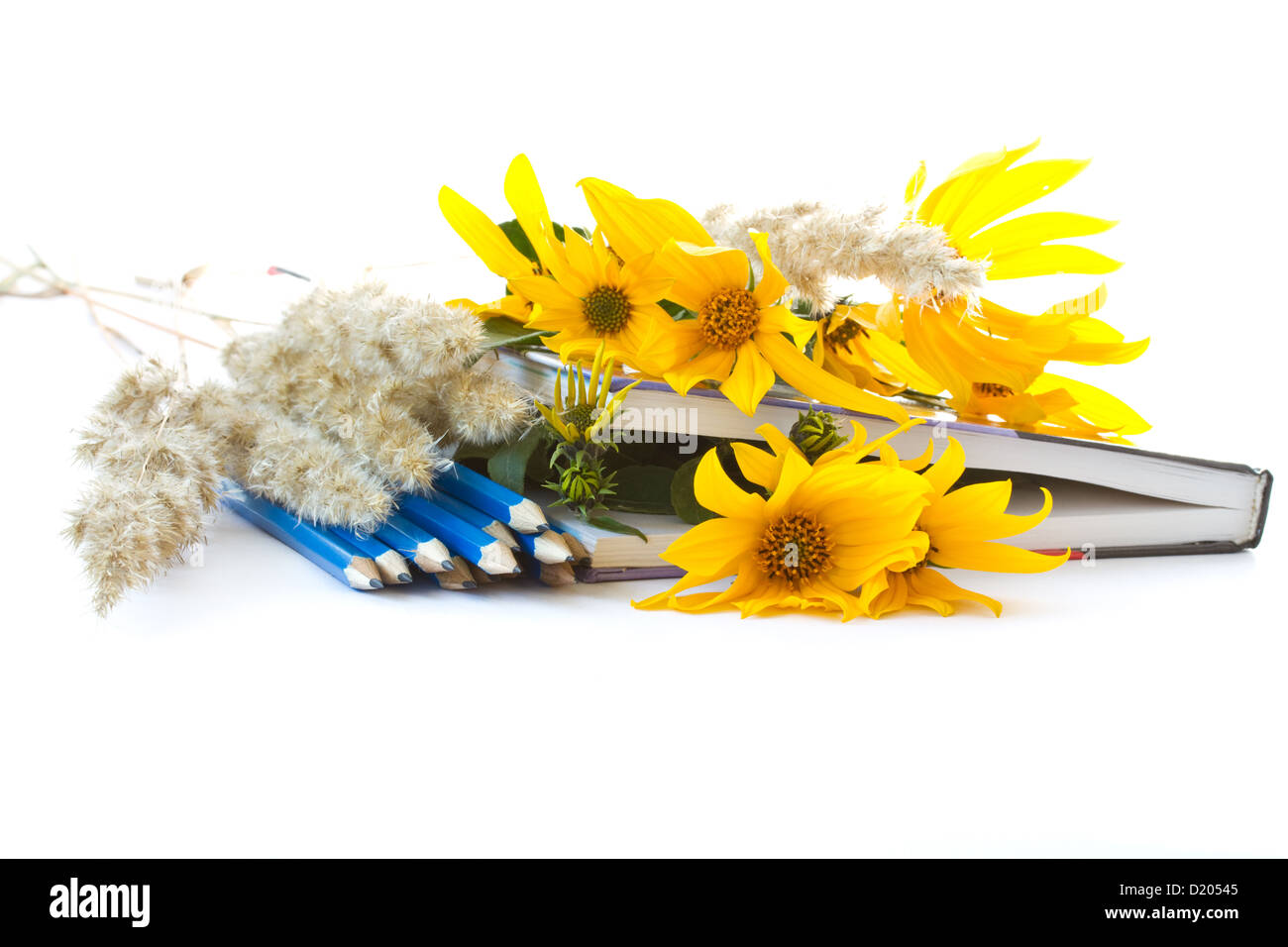 Autumn flowers with book and pencils Stock Photo - Alamy