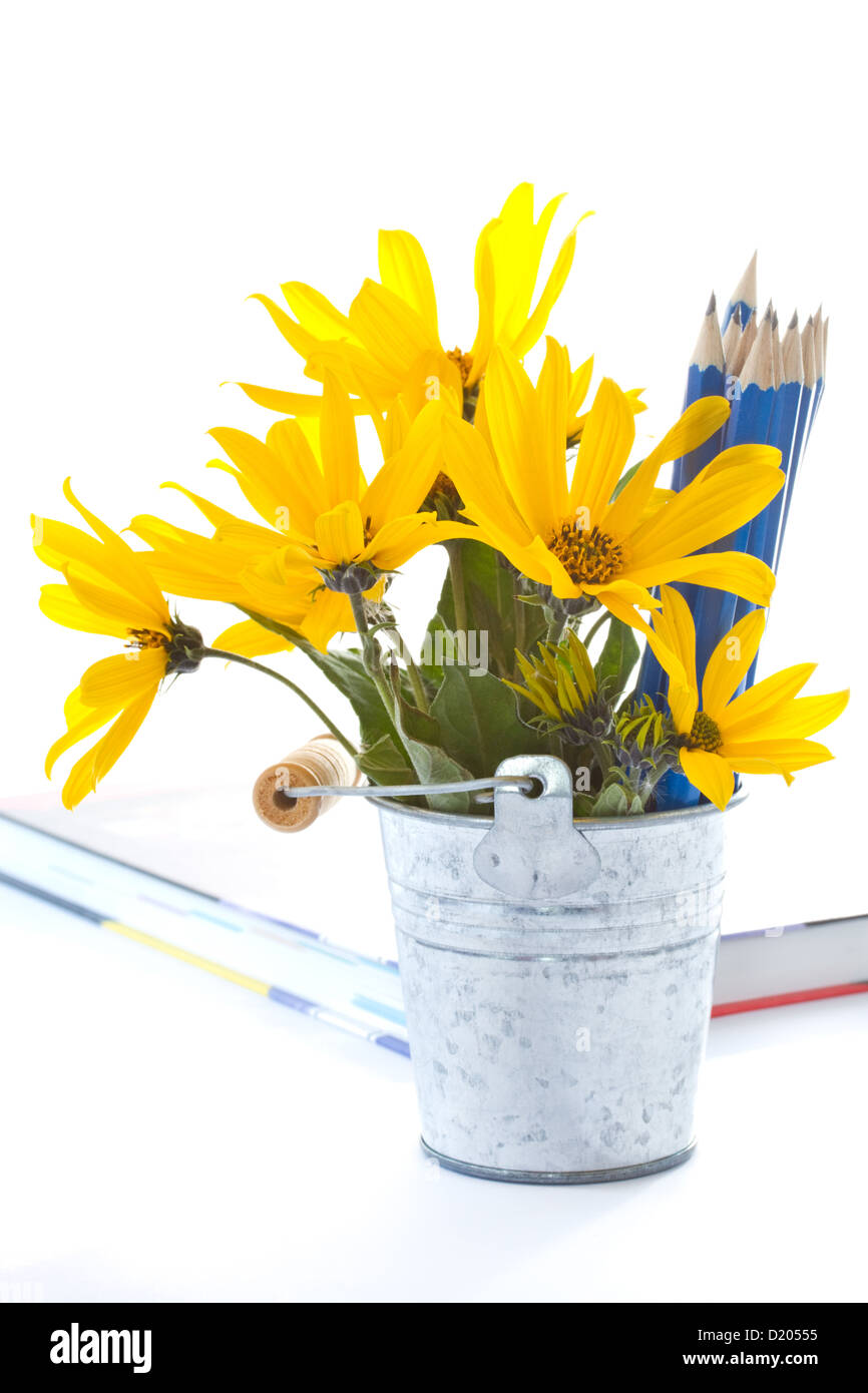 Autumn flowers with book and pencils Stock Photo - Alamy