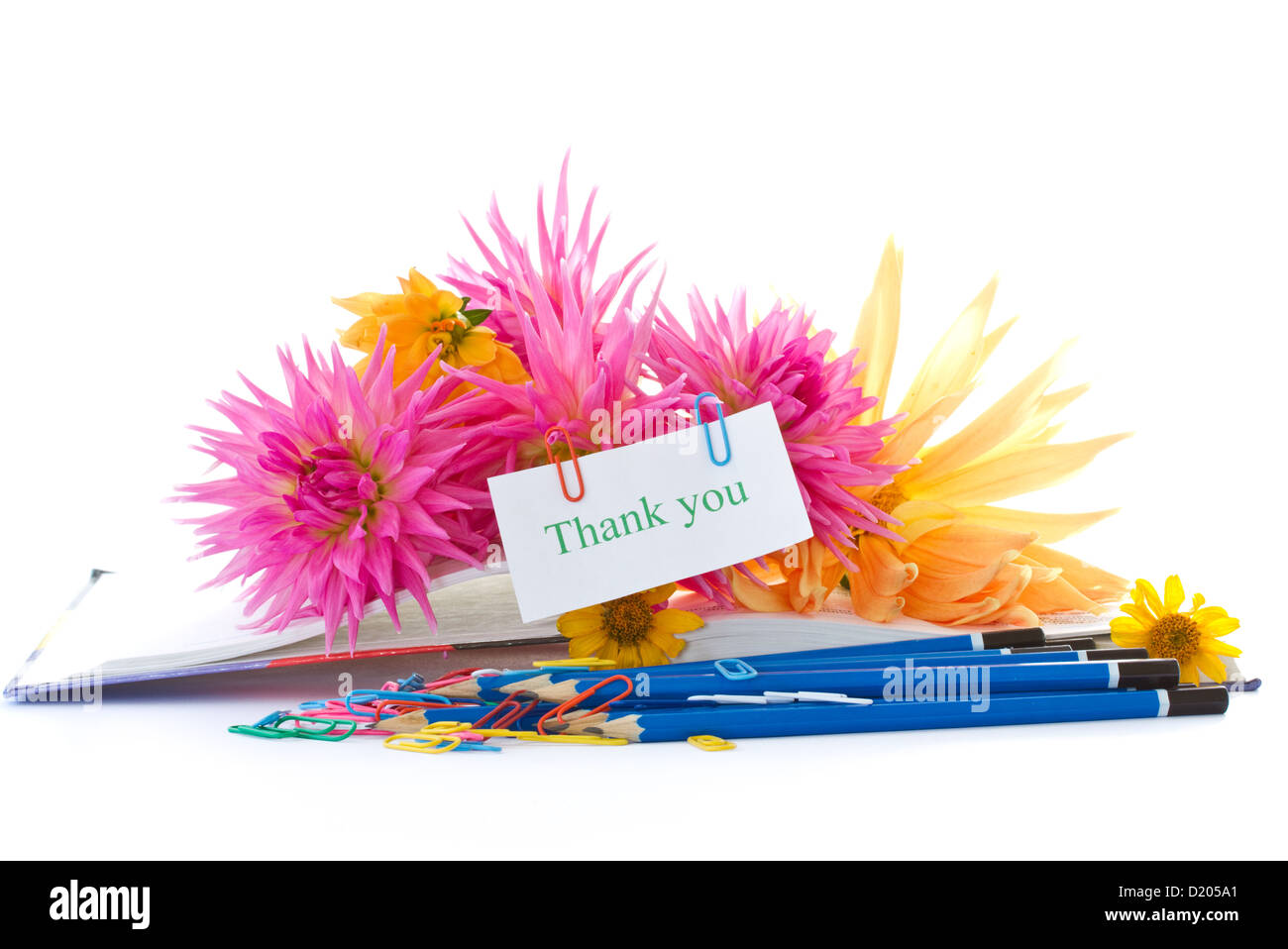 Books pencils Cut Out Stock Images & Pictures - Alamy