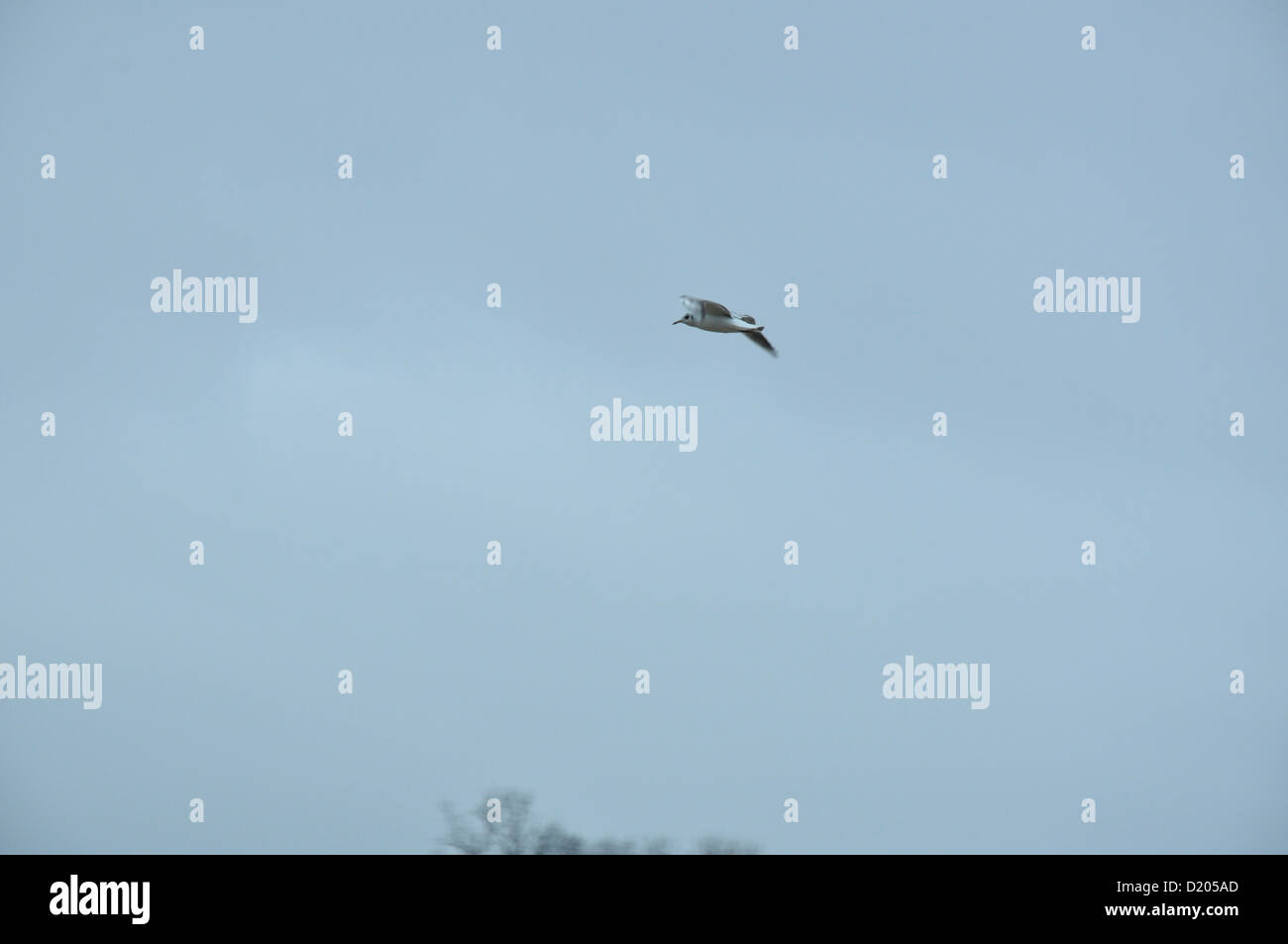 Chasing Blue Sky Stock Photo - Alamy