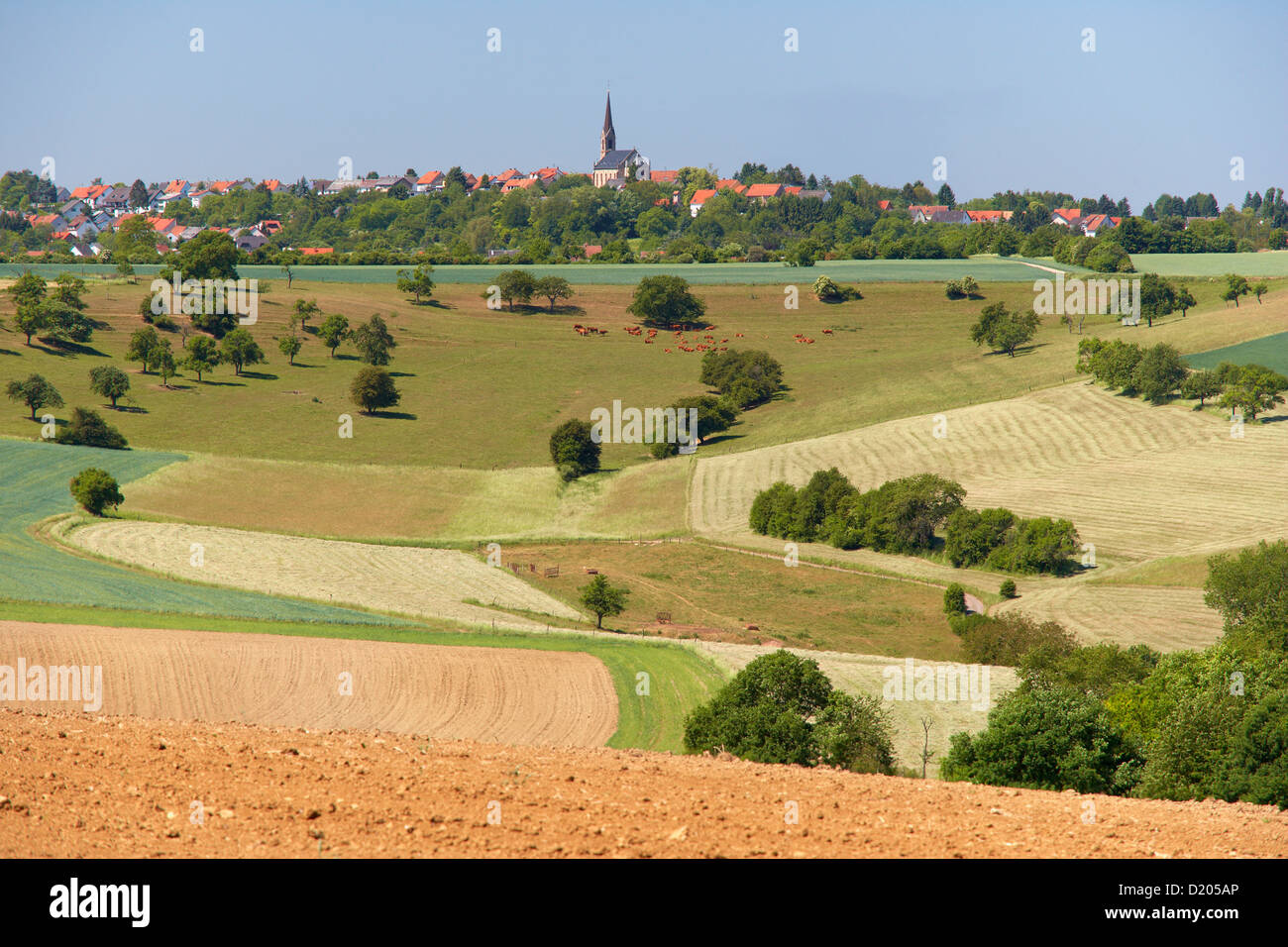 Bies hi-res stock photography and images - Alamy