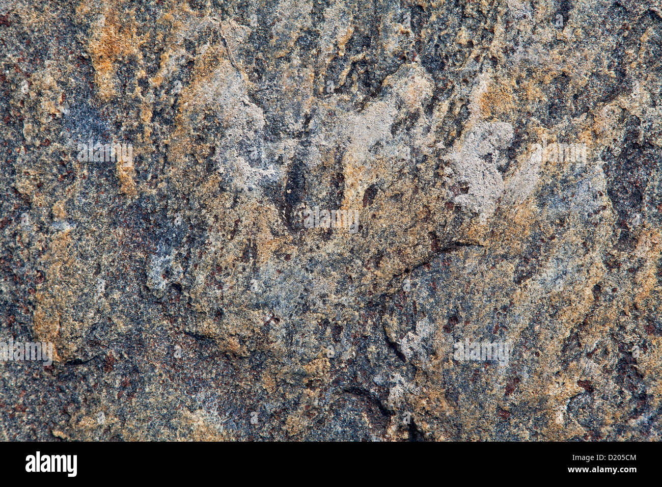 Pitted stone texture hi-res stock photography and images - Alamy