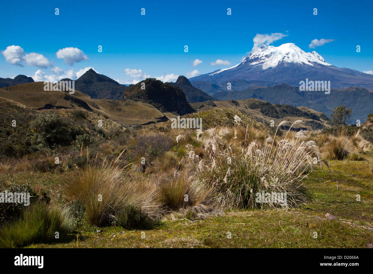 Antisana volcano (5758m) seen from Papallacta pass, Ecuador, Andes ...