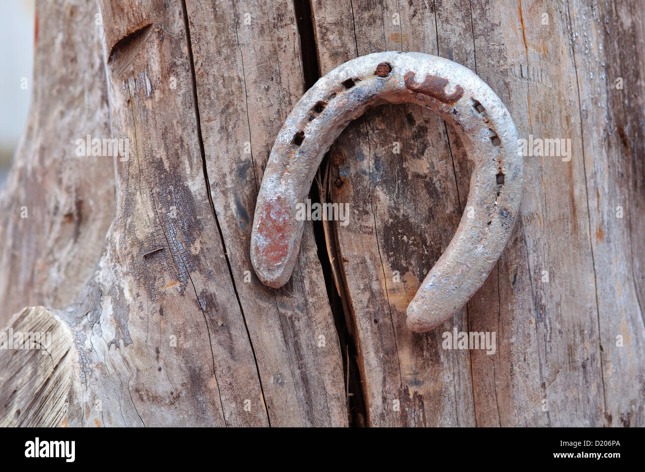 Horseshoe on Tree Stock Photo - Alamy