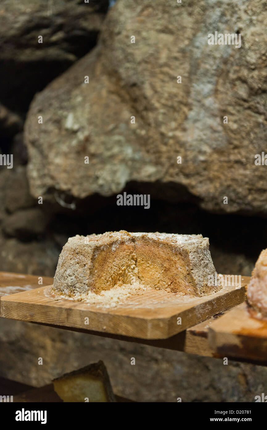 Strong flavoured grey cheese, Eggerhoefe, South Tyrol, Italy Stock ...