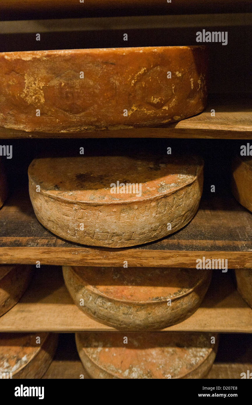 Cheese wheels ripening in storage, South Tyrol, Italy Stock Photo - Alamy