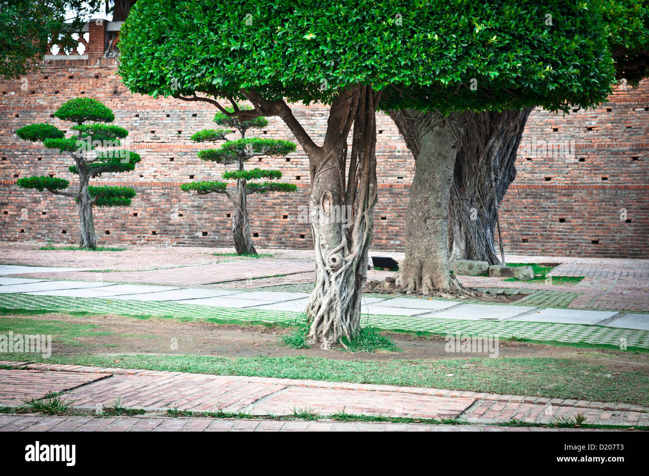 Manicured trees in a Chinese garden, Tainan Stock Photo - Alamy