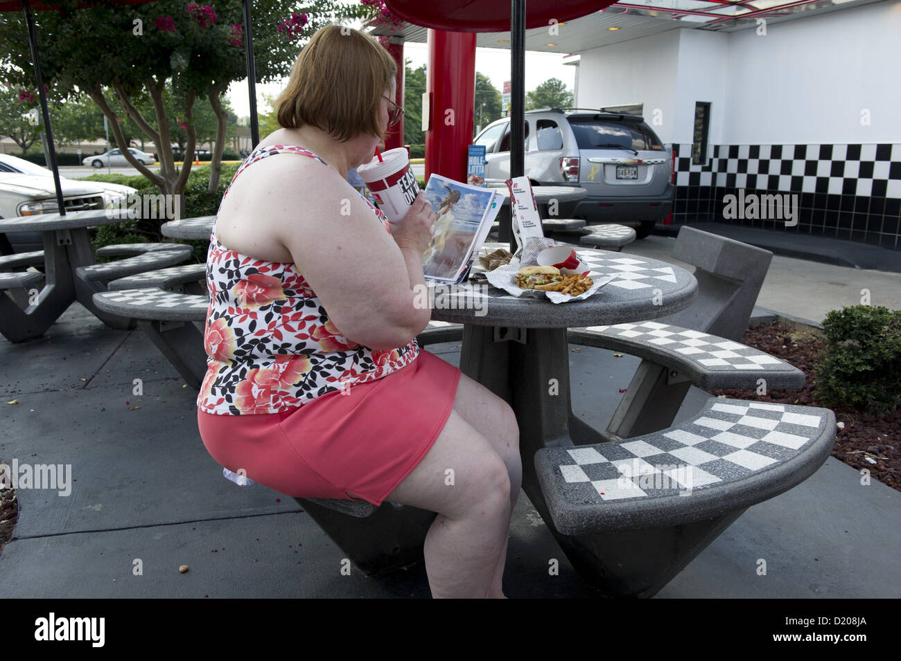 Fat robin hi-res stock photography and images - Alamy