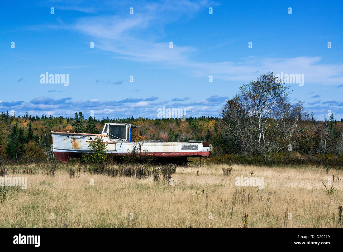 Old field abandoned hi-res stock photography and images - Alamy