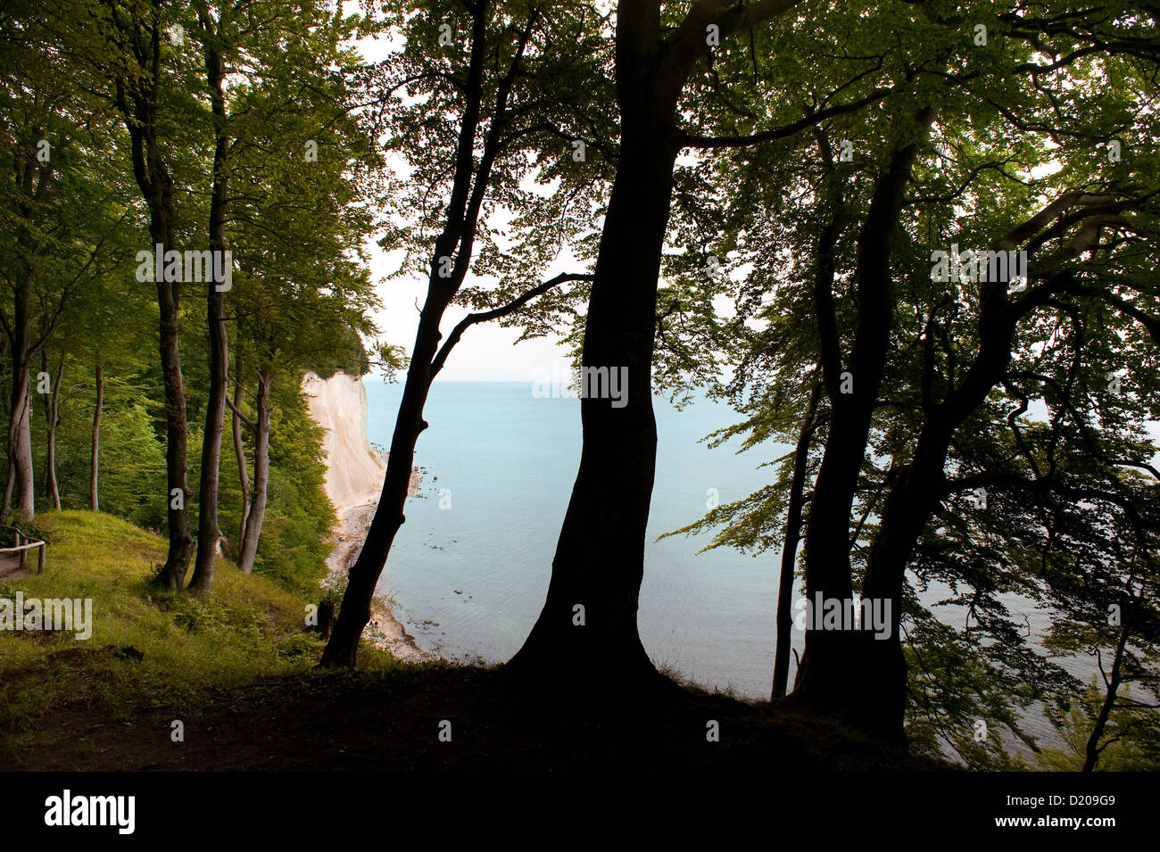 Sassnitz, Ruegen, Germany, Kreidekueste Stock Photo - Alamy