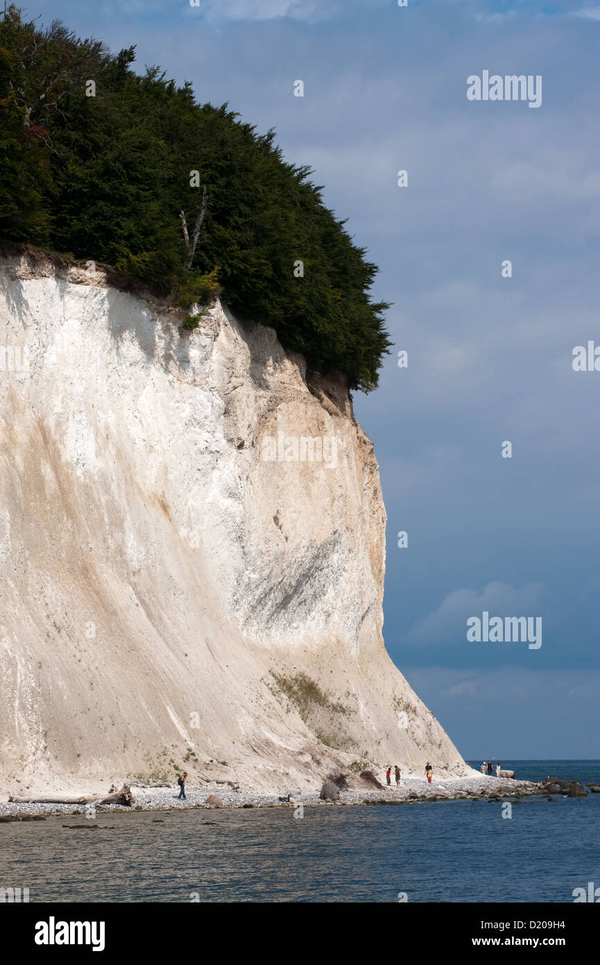 Sassnitz, Ruegen, Germany, overlooking the white cliffs Stock Photo - Alamy