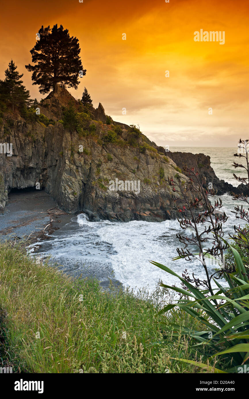 Monkey Bay near Rarangi Beach and Campground, Port Underwood ...