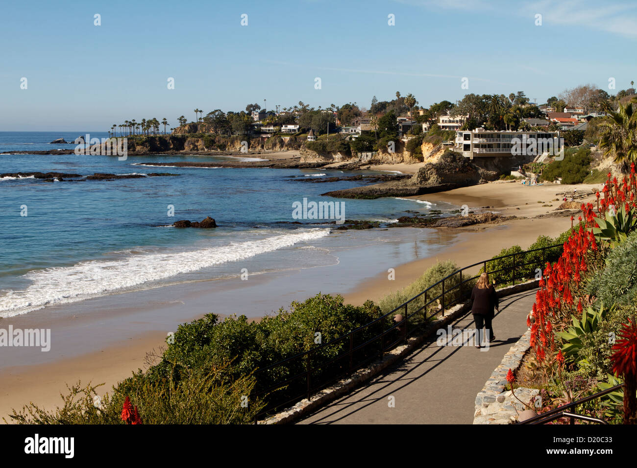 A coastal view of Laguna Beach California with vibrant red Aloe Vera ...