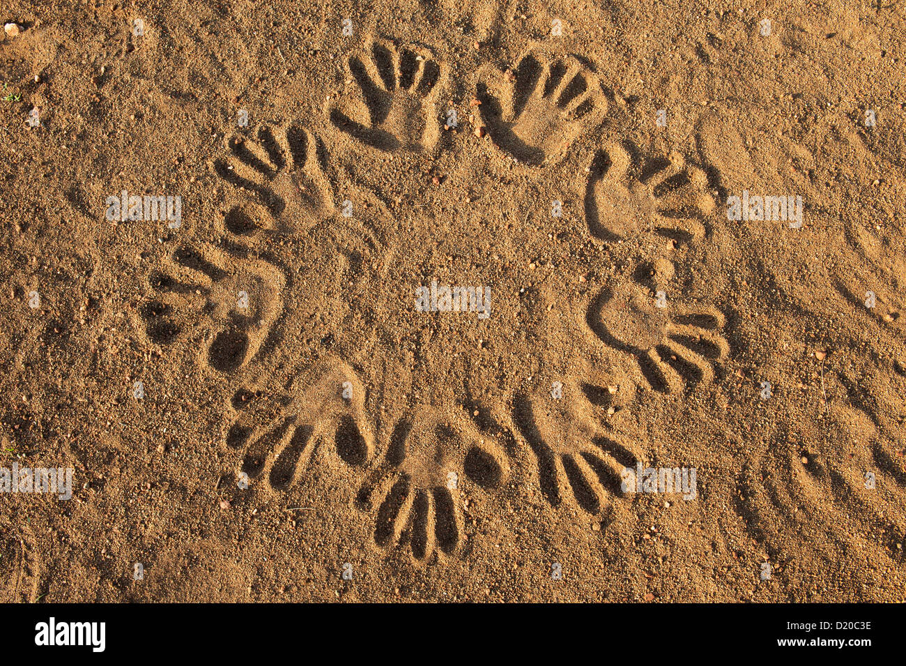 Dirt track texture hi-res stock photography and images - Alamy