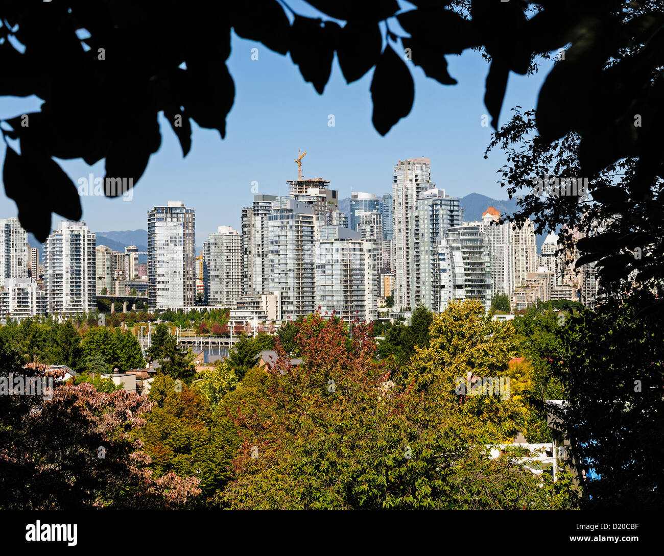 A scenic view of several high-rise residential condo towers in ...