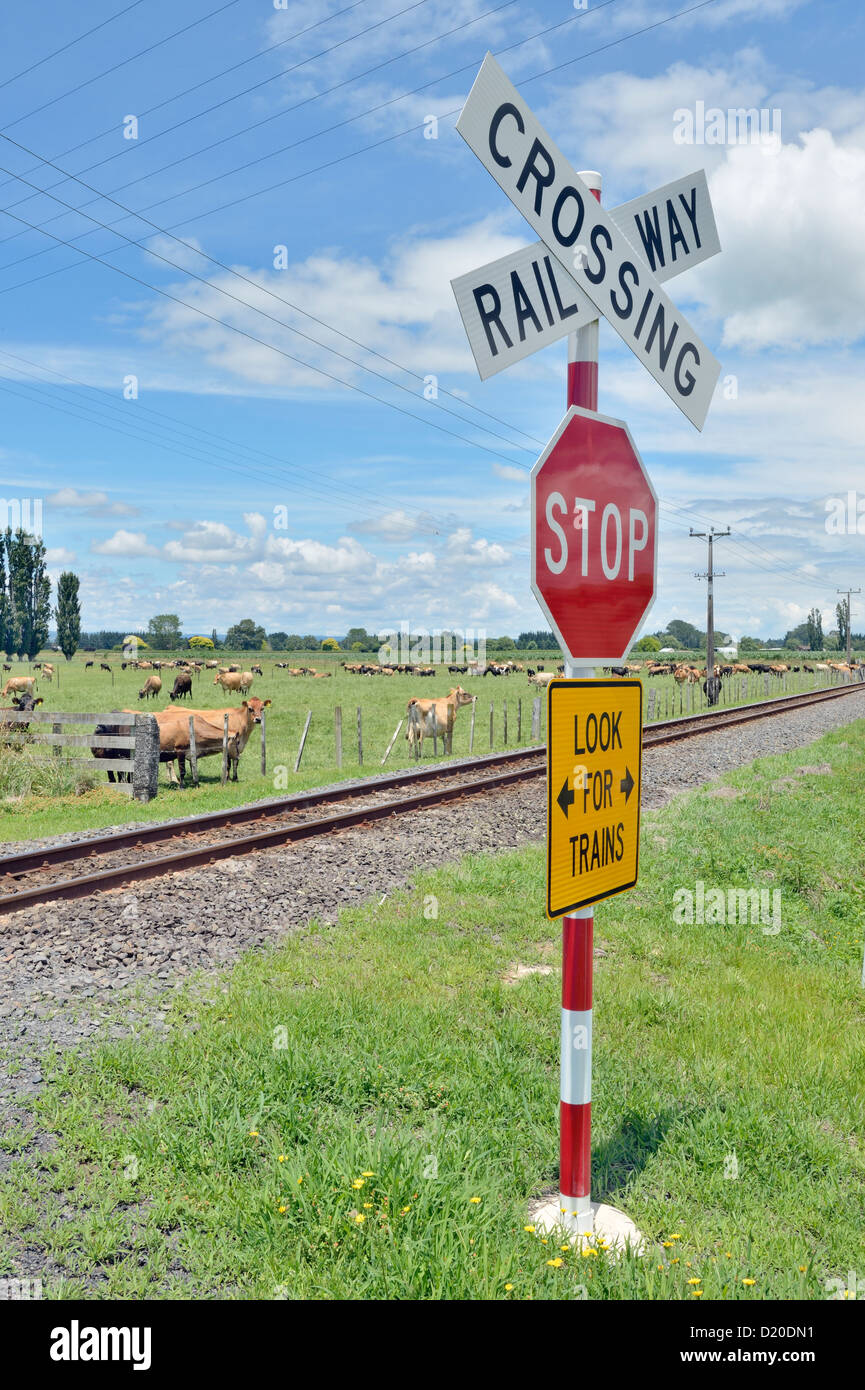 Rural railway crossing scene, New Zealand Stock Photo - Alamy
