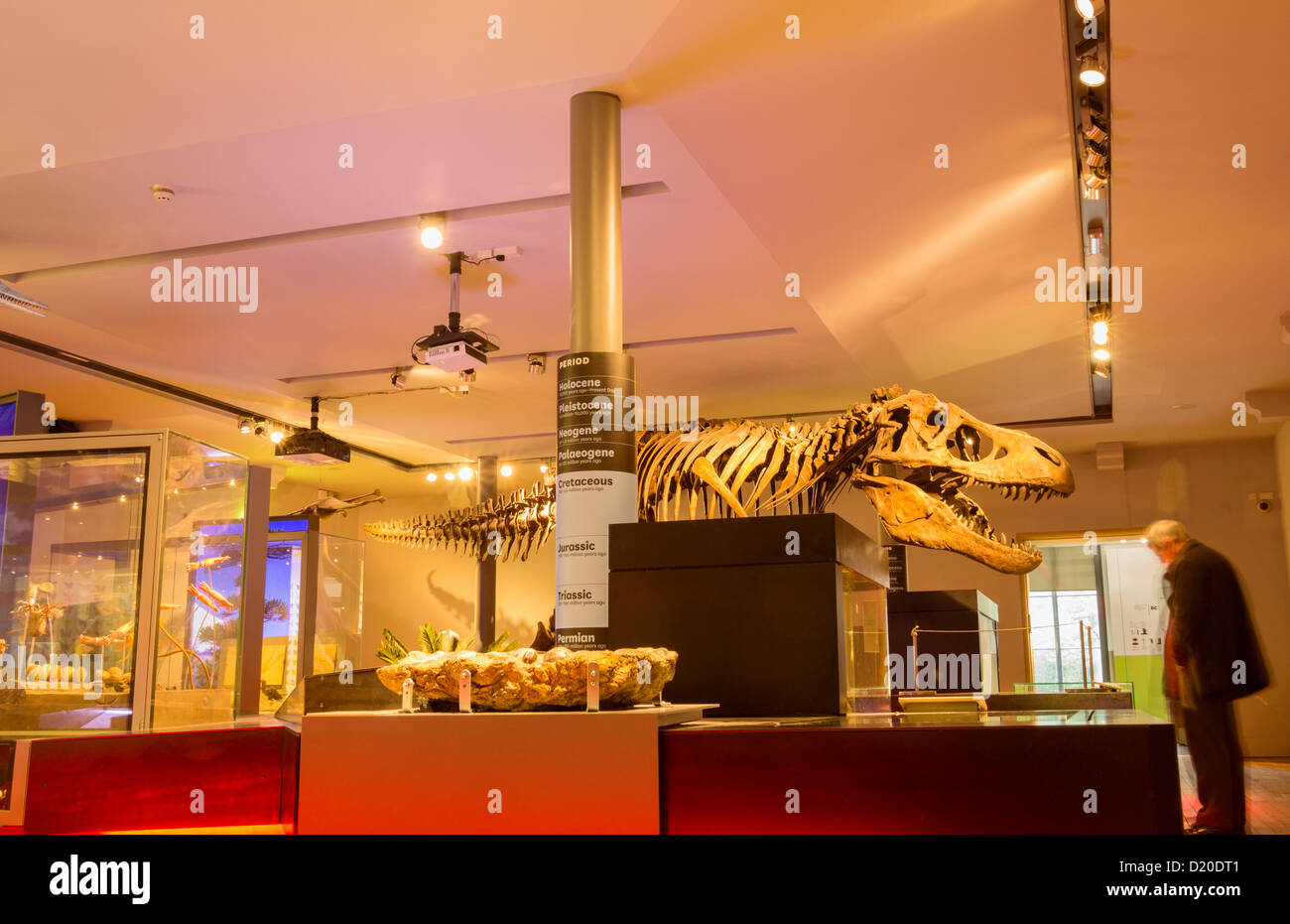 Great North Museum Hancock in Newcastle upon Tyne, England, UK Stock ...