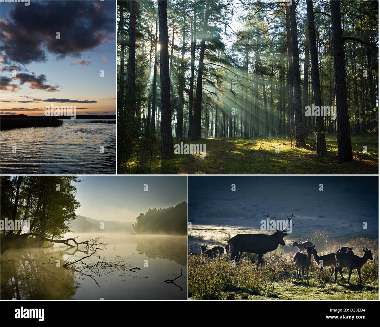 Autumn dawn in the wild Stock Photo - Alamy