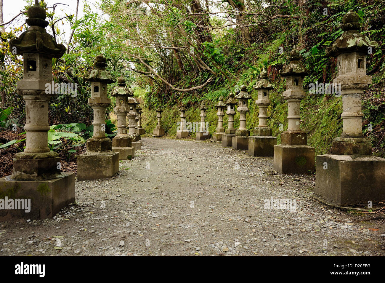 Old pillars align the entrance to a temple in Nago City, Okinawa Stock ...