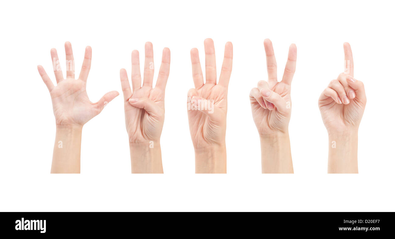 Counting woman hands (1 to 5) isolated on white background Stock Photo ...